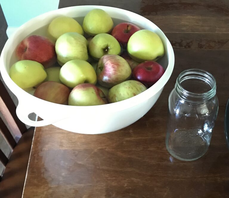 Simple No Pectin Homemade Apple Jam with Only 3 Ingredients - Johnson ...