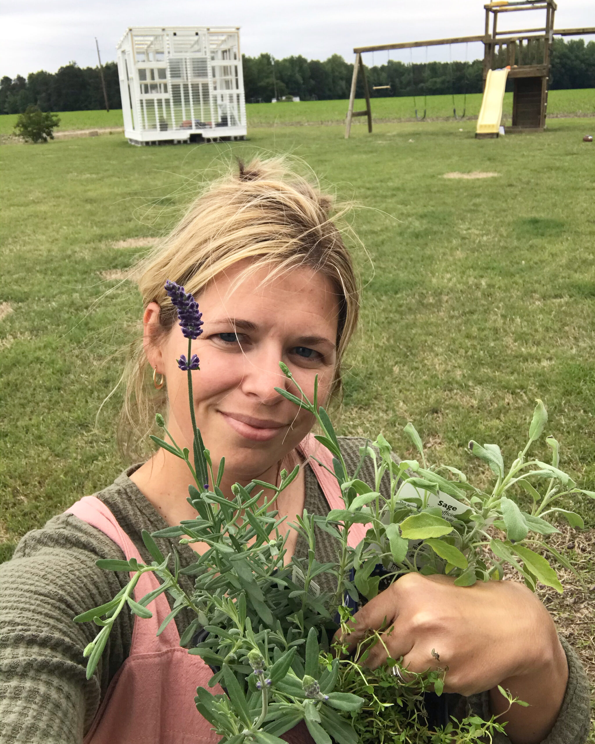 Ways to Homestead: 3 Things to Try Today - Johnson Home NC