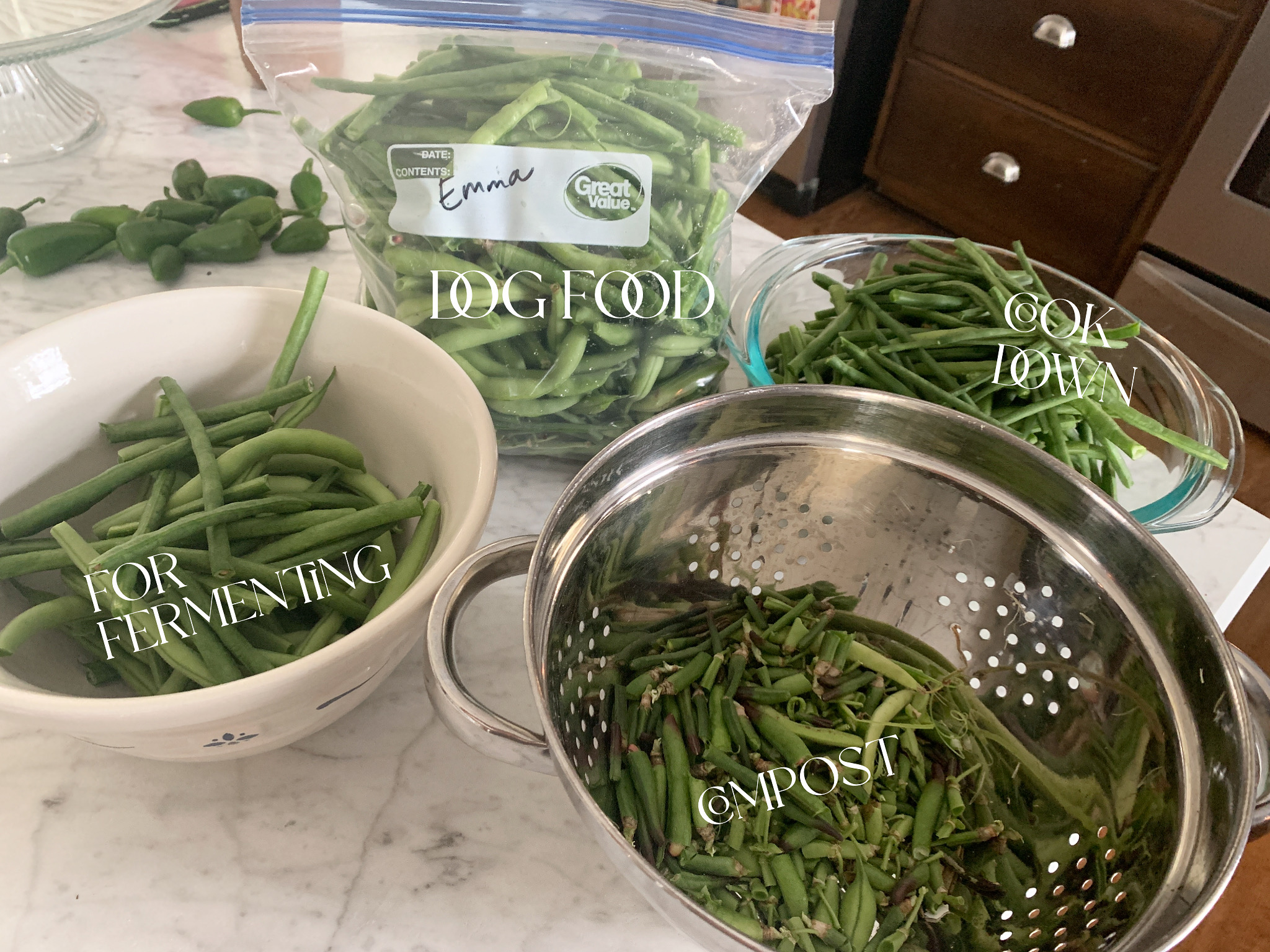 Fermented Green Beans for a Simple, Gut Healthy Snack - Johnson Home NC