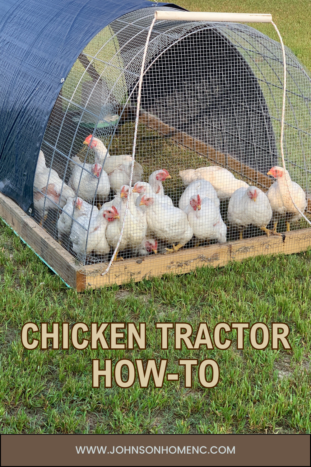 Chicken Tractor Design for Raising Meat Birds in your Backyard