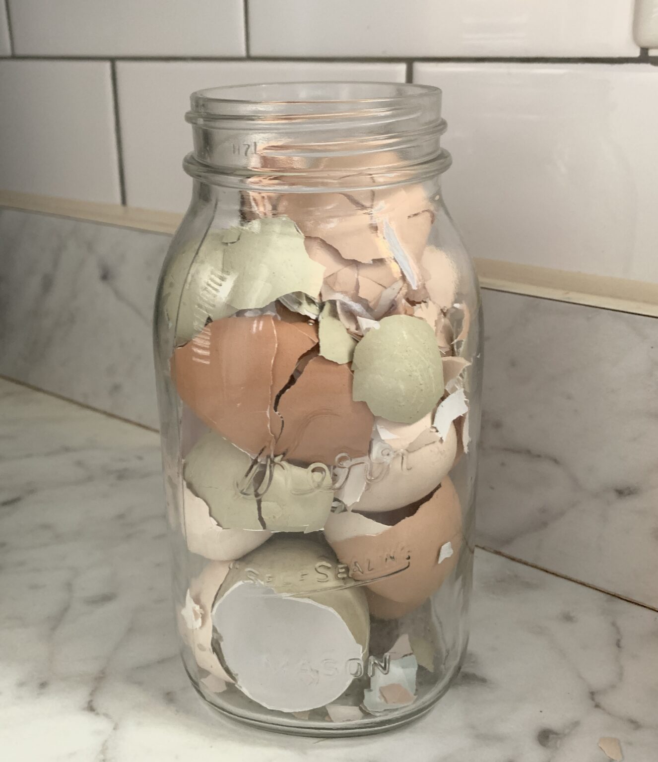 Eggshells: Repurposing Shells for a Zero Waste Homestead