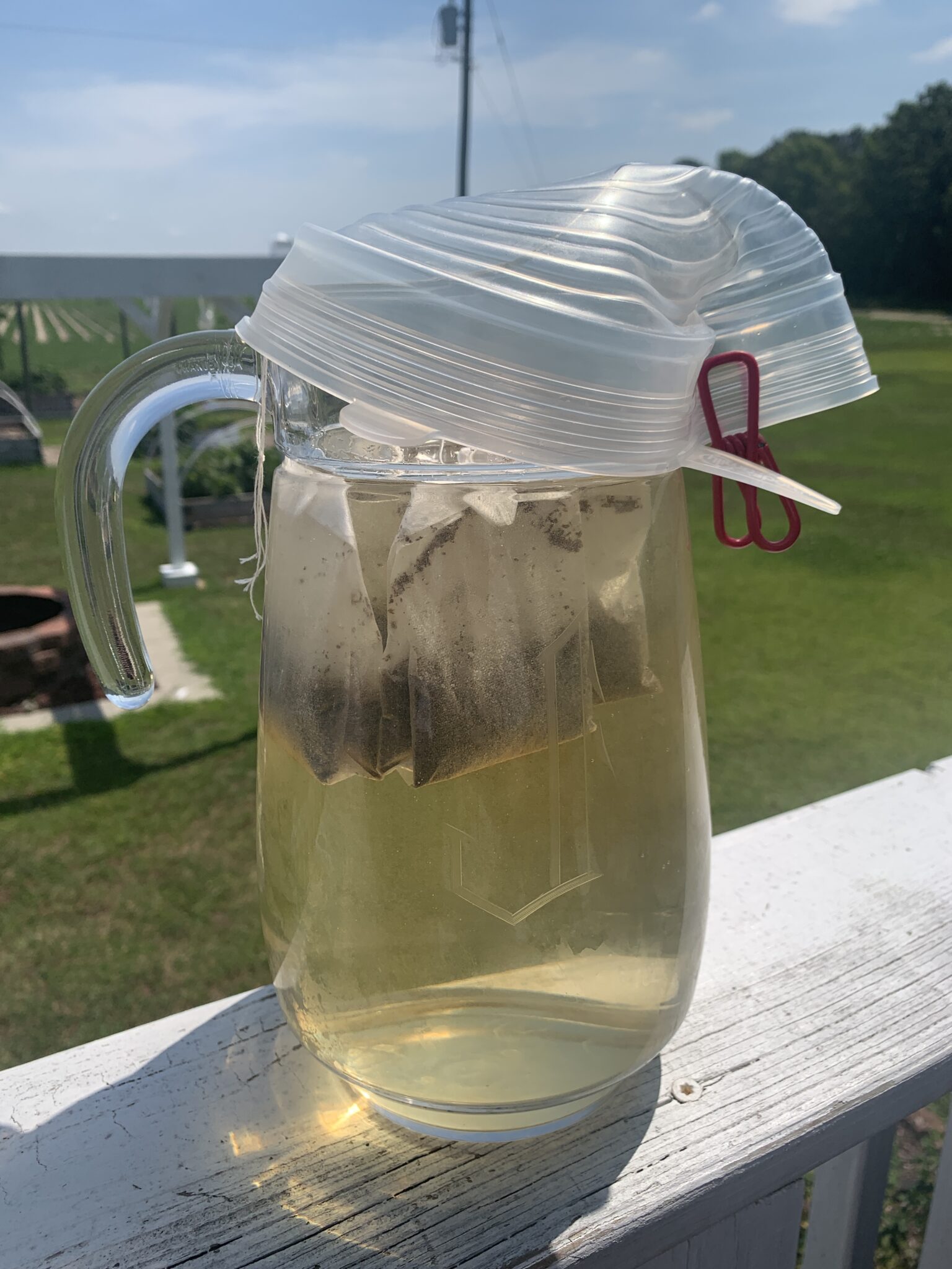Sun Tea: How to Make a Delightful Summer Beverage