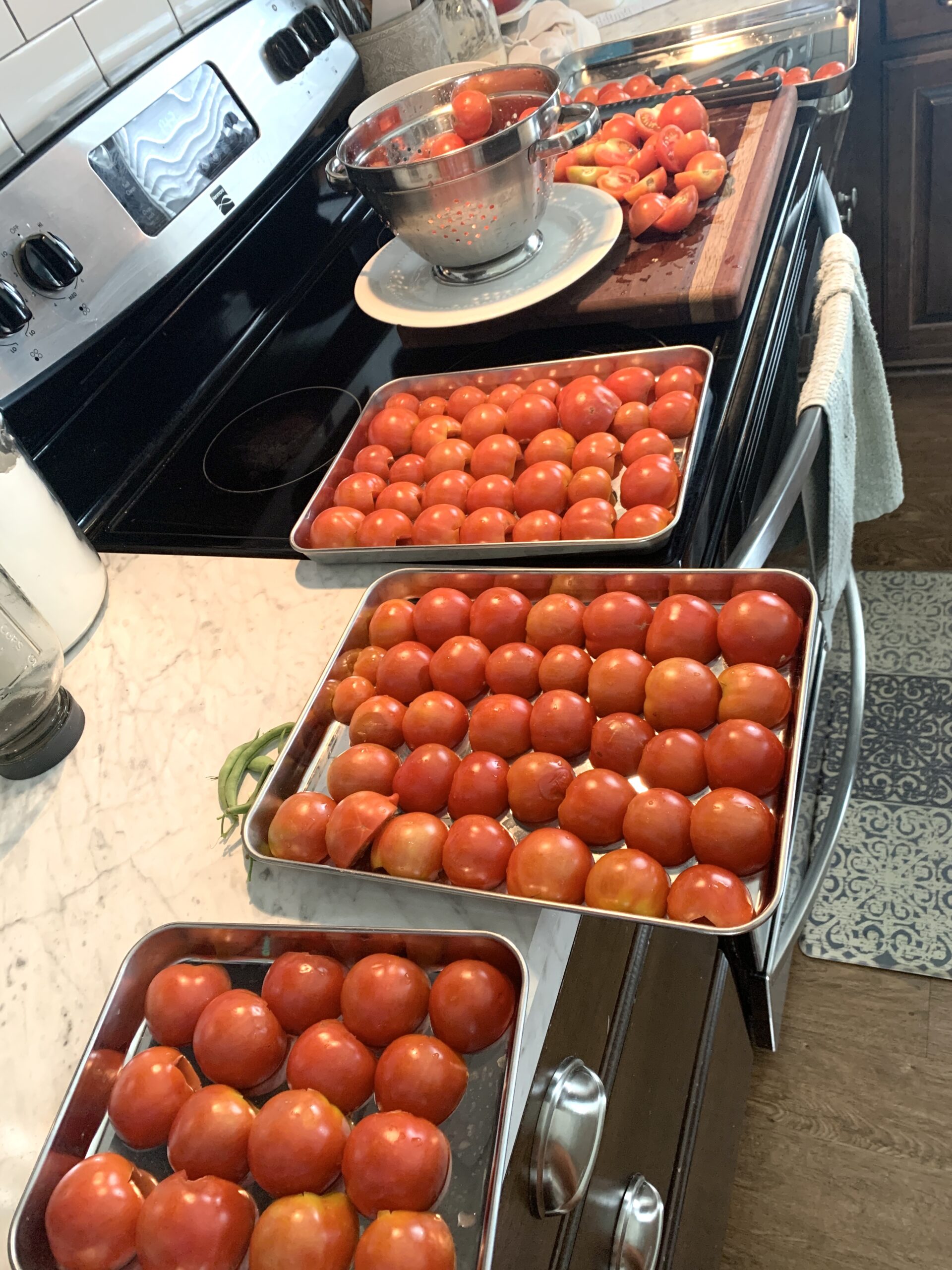 Too Many Tomatoes: 12 Ideas