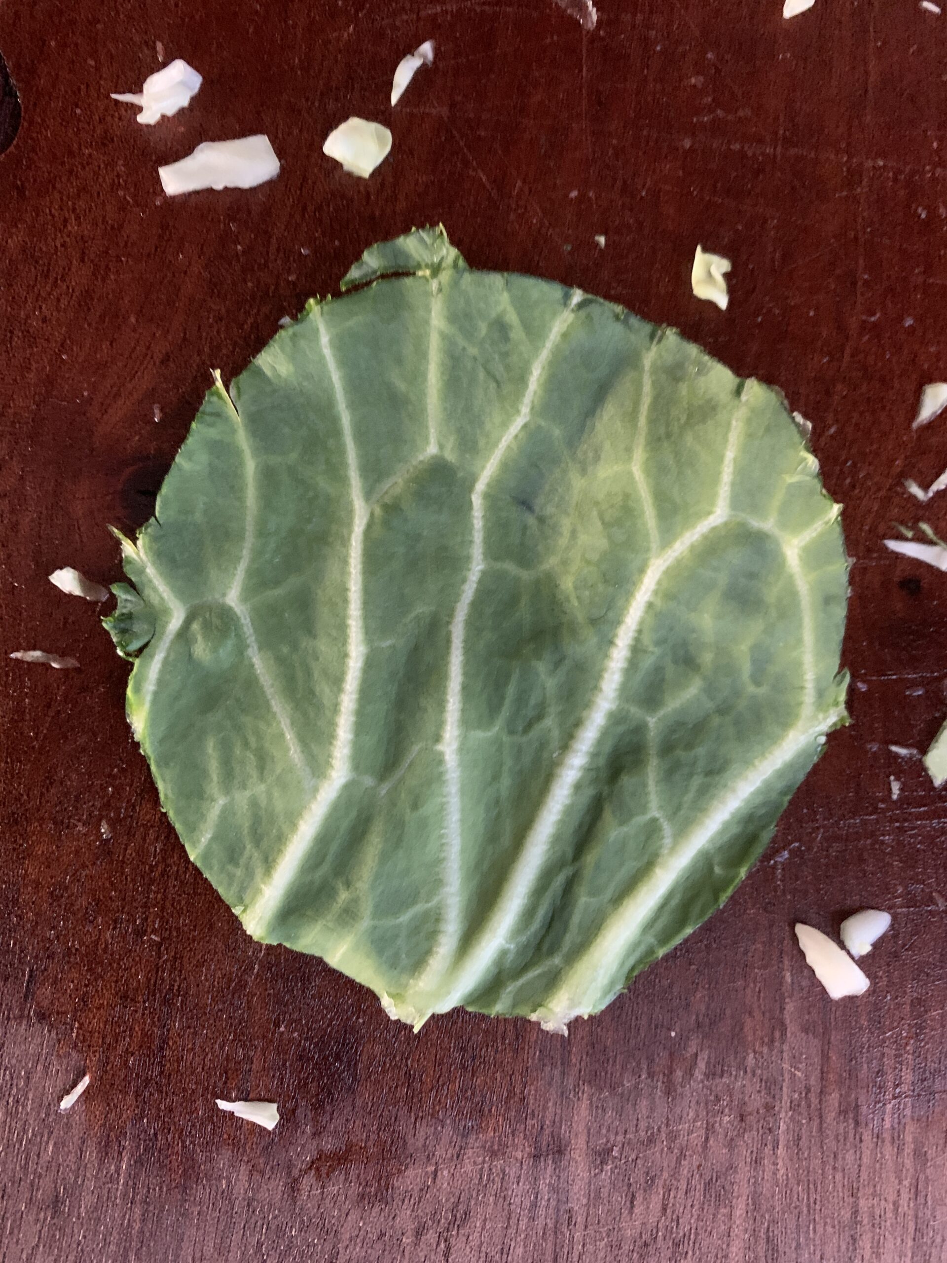 Fermented Cabbage How-To by Johnson Home NC