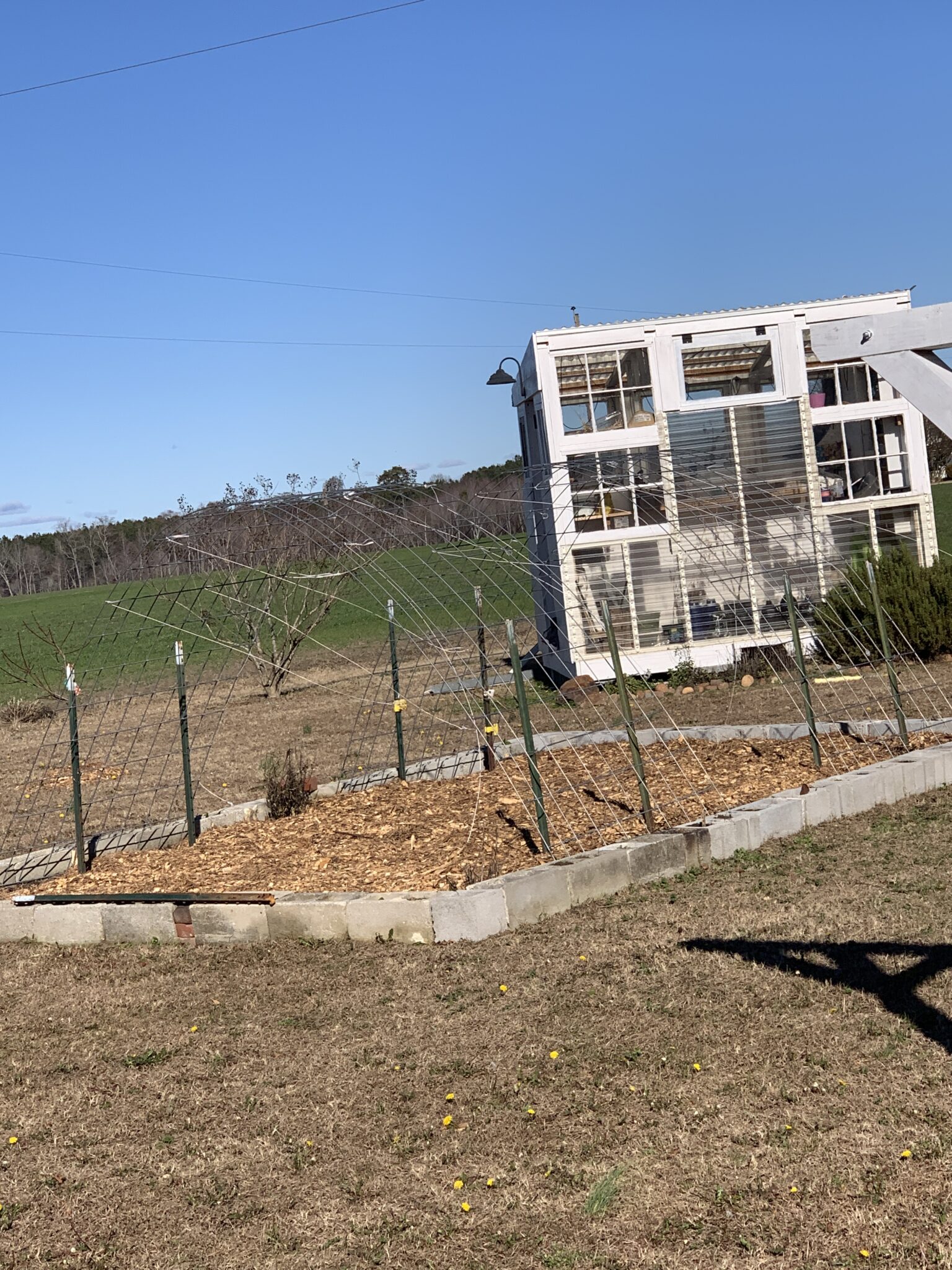 Back to Eden Garden Bed: How Our First Year Went