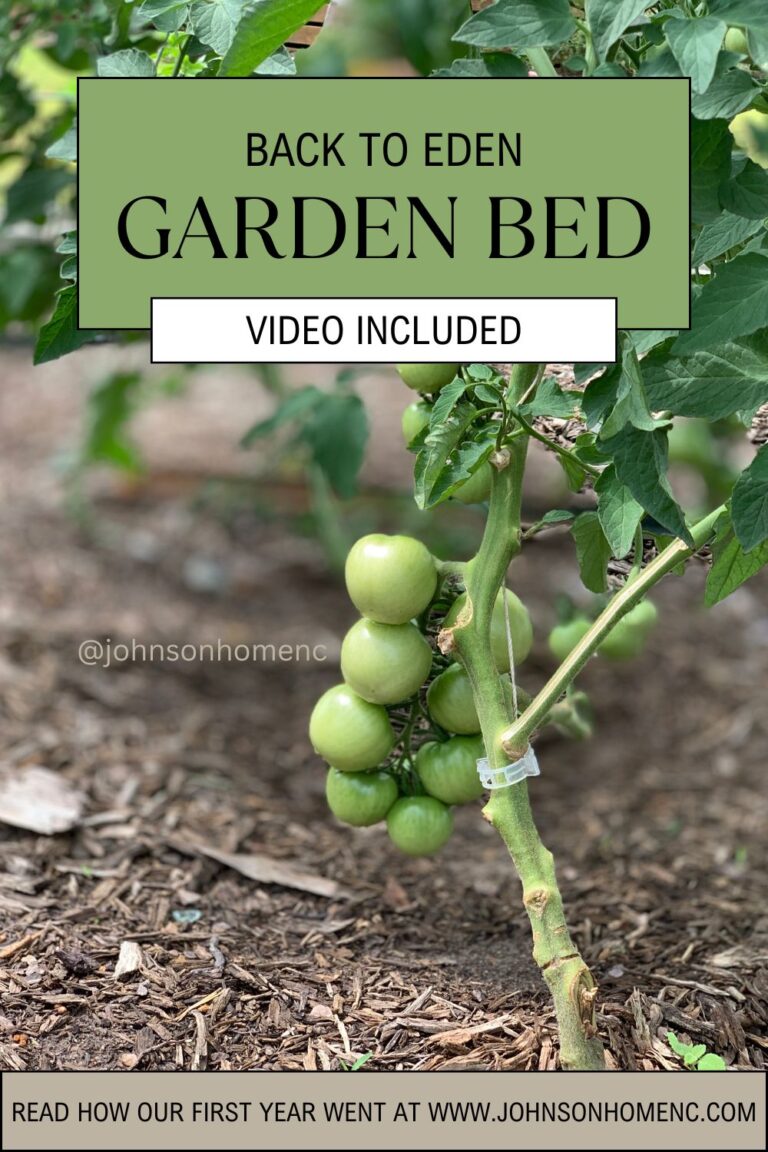 Back to Eden Garden Bed: How Our First Year Went